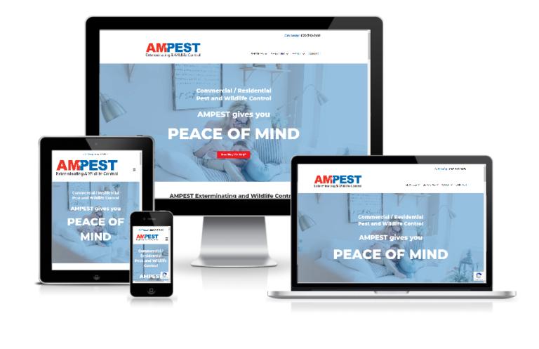 360 Website Solutions – Executing Web Strategies "On Purpose with a Purpose"